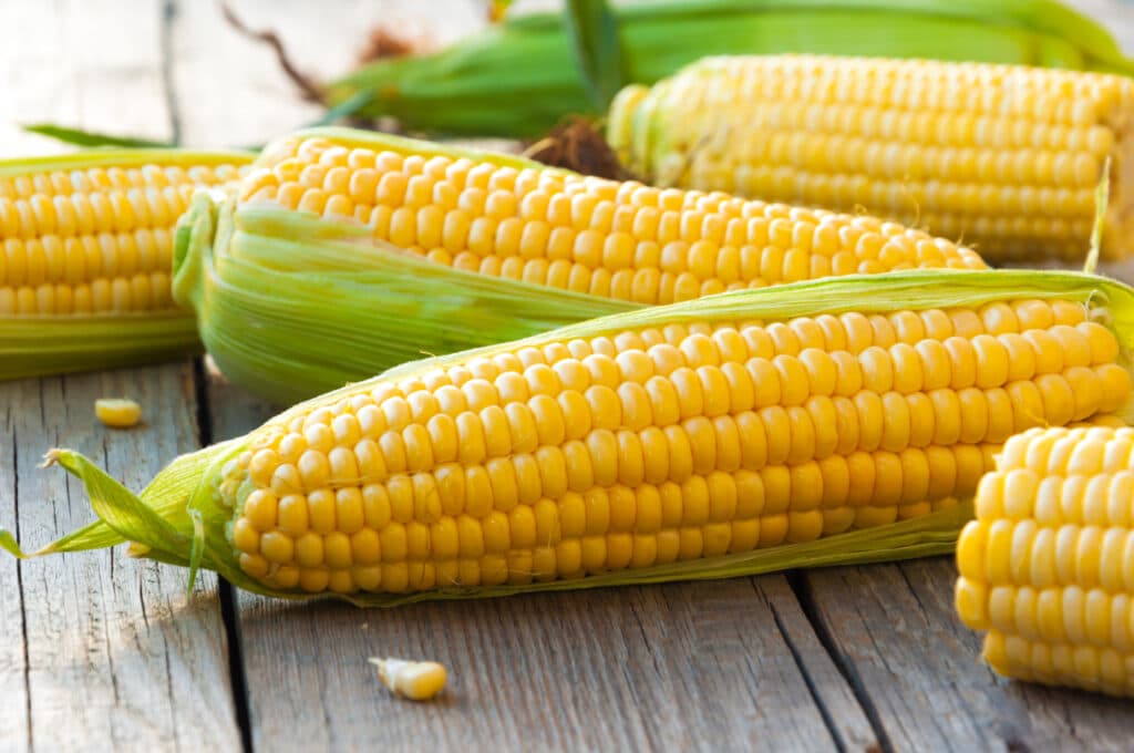 Corn Allergies and Sensitivities